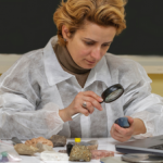 The 20 Most Fun, Interesting and Adventurous Careers - Premium Schools