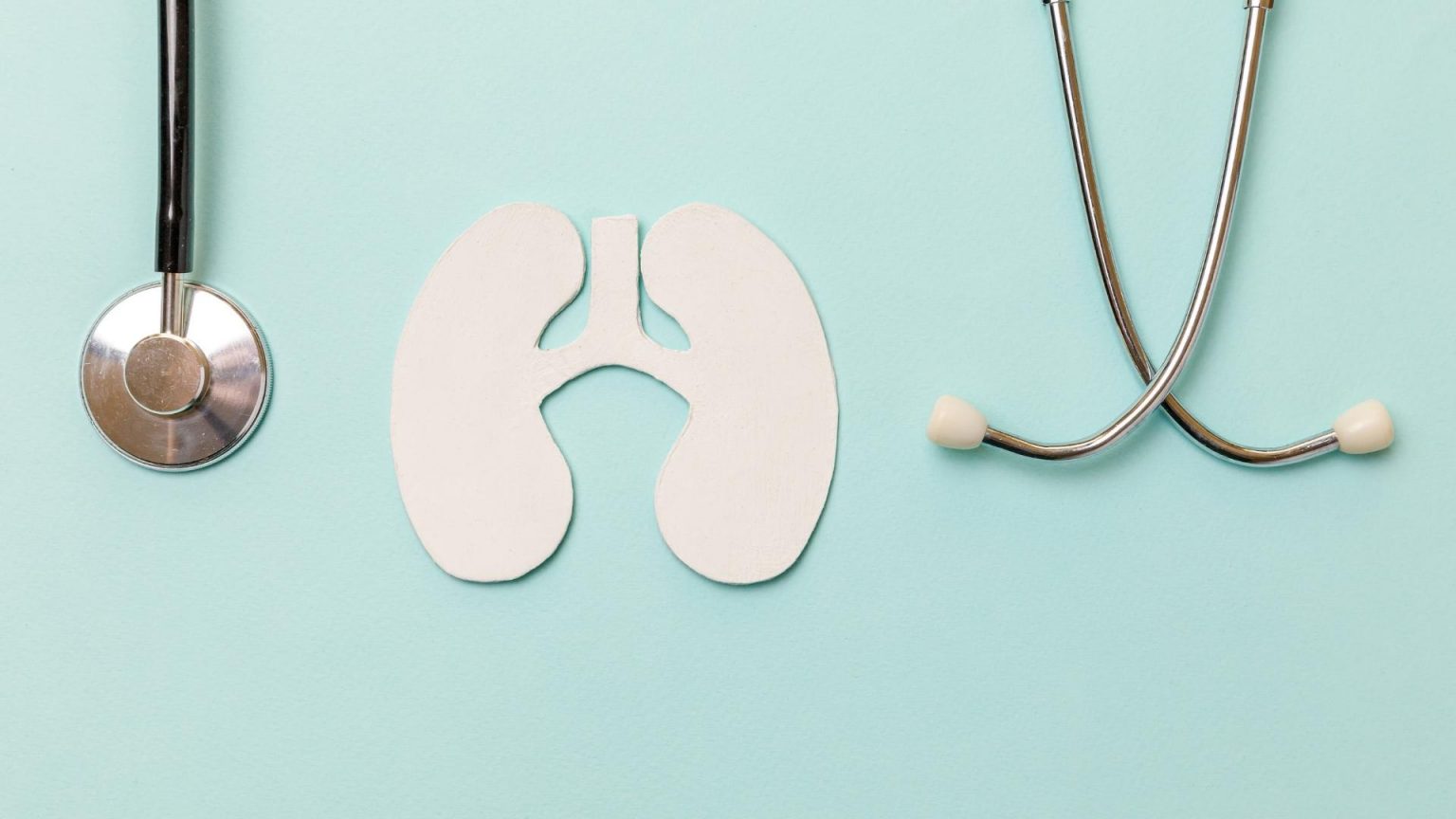The 13 Best Online Associates in Respiratory Care Degrees in 2023 ...