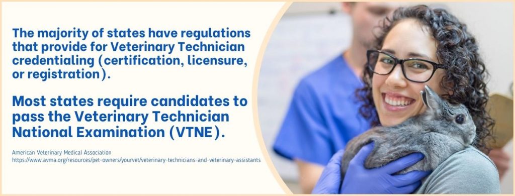 The 10 Best Online Associates in Veterinary Technician Degrees in 2023 ...