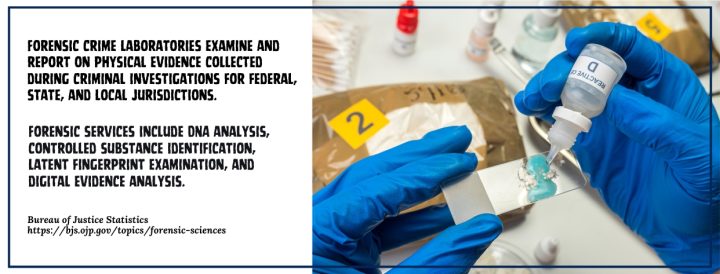 8 Best Schools with Online Bachelor's in Forensic Science in 2023 ...